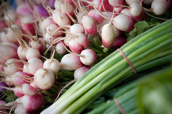 Top 5 Tips to Eat, Drink and Be Merry in the Tweed | The Tweed