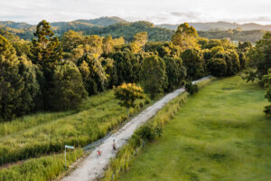 The Ultimate Guide to a Murwillumbah Holiday | Plan Here