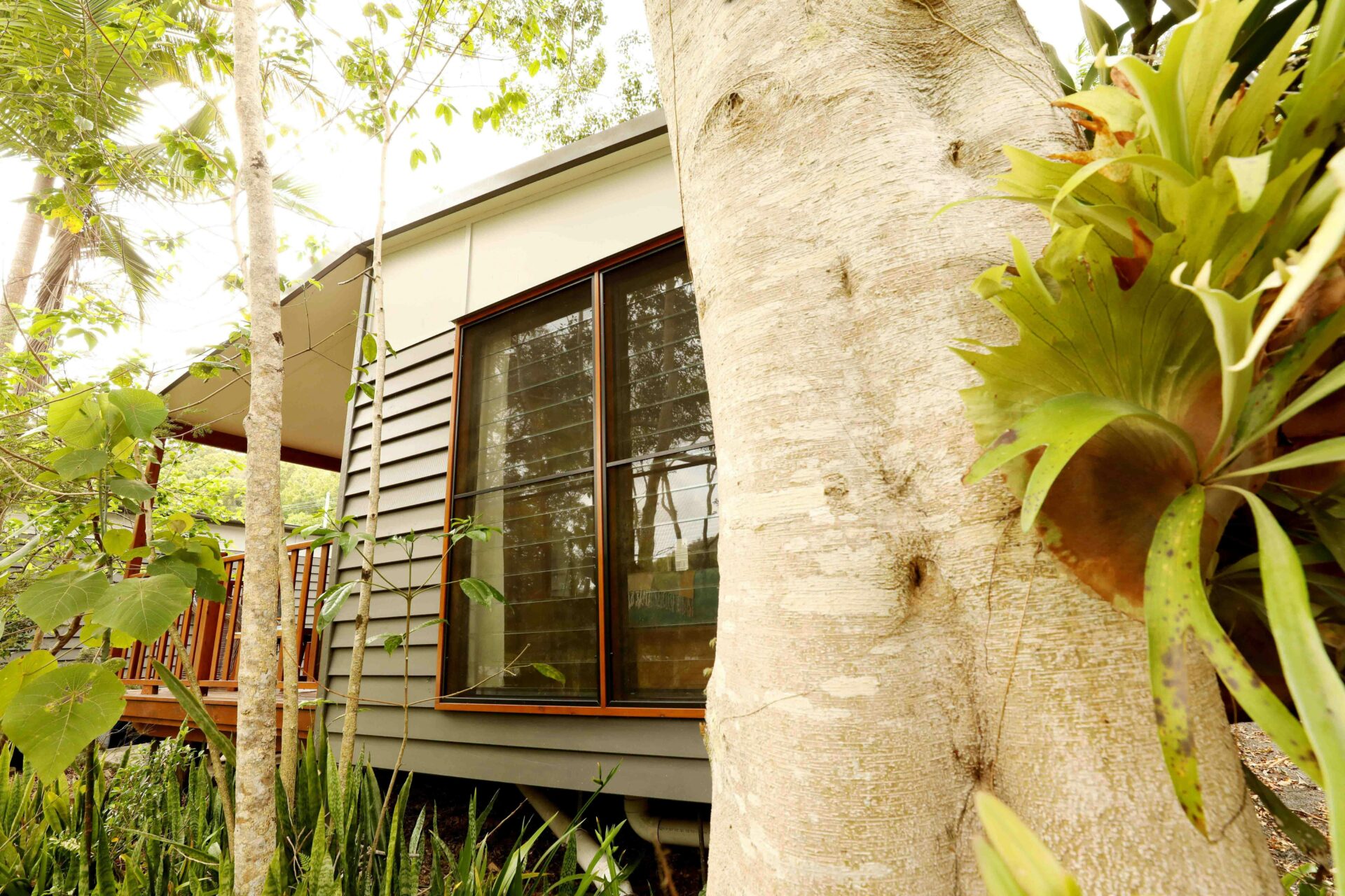 Origin House Carool | The Tweed