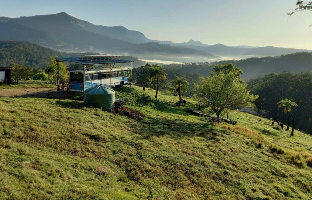 Hopkins Heights Bus | The Tweed