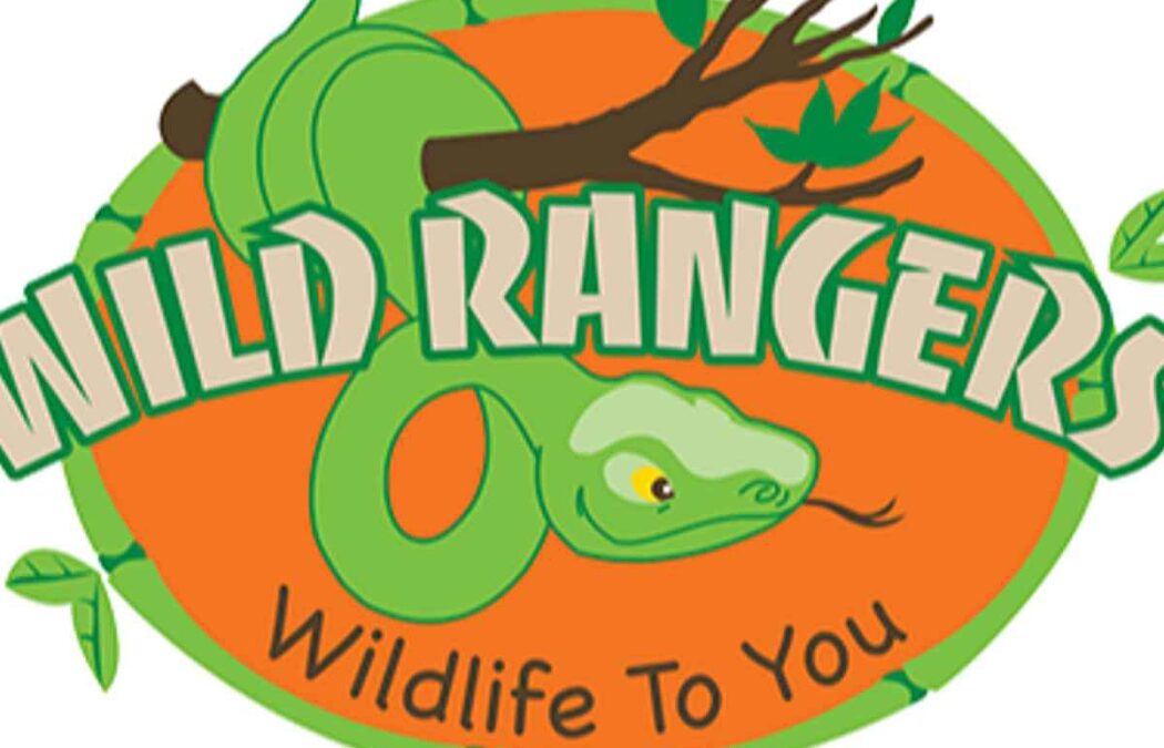 Wildlife Encounters | The Tweed